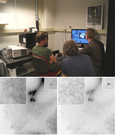 Testing of the super-resolution microscope Zeiss Elyra PS1 - Cell ...