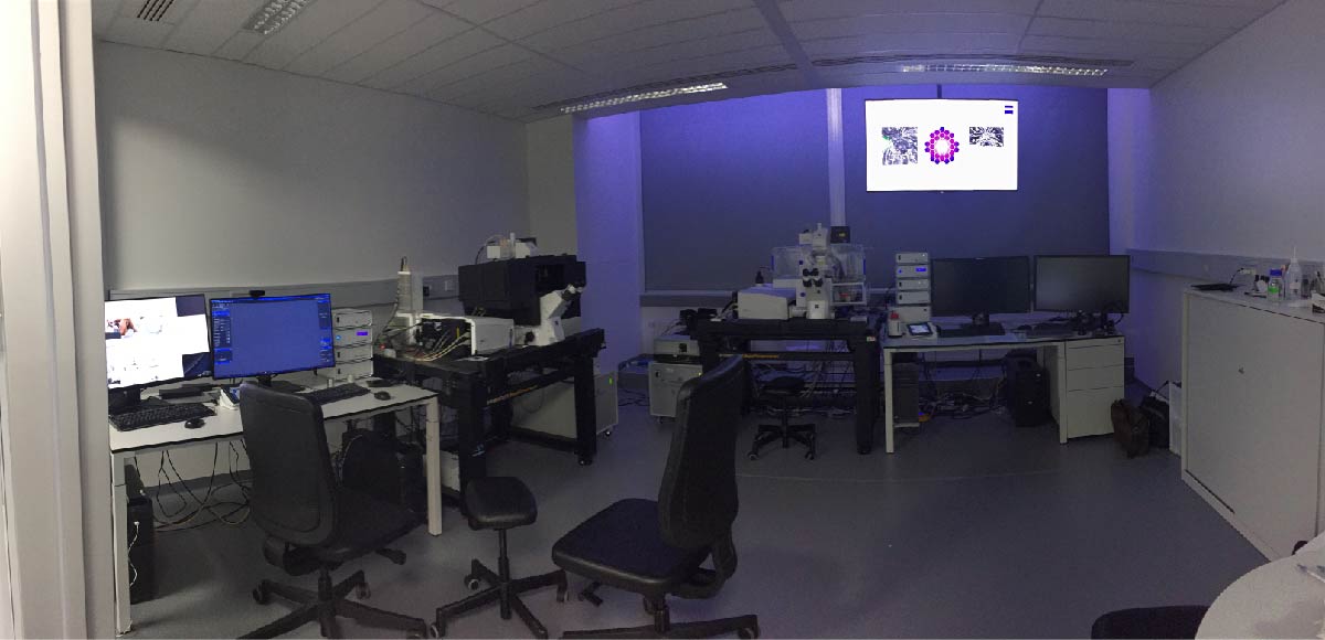 Testing Zeiss Elyra 7 and LSM 980 Airyscan2 - Cell Biology ...