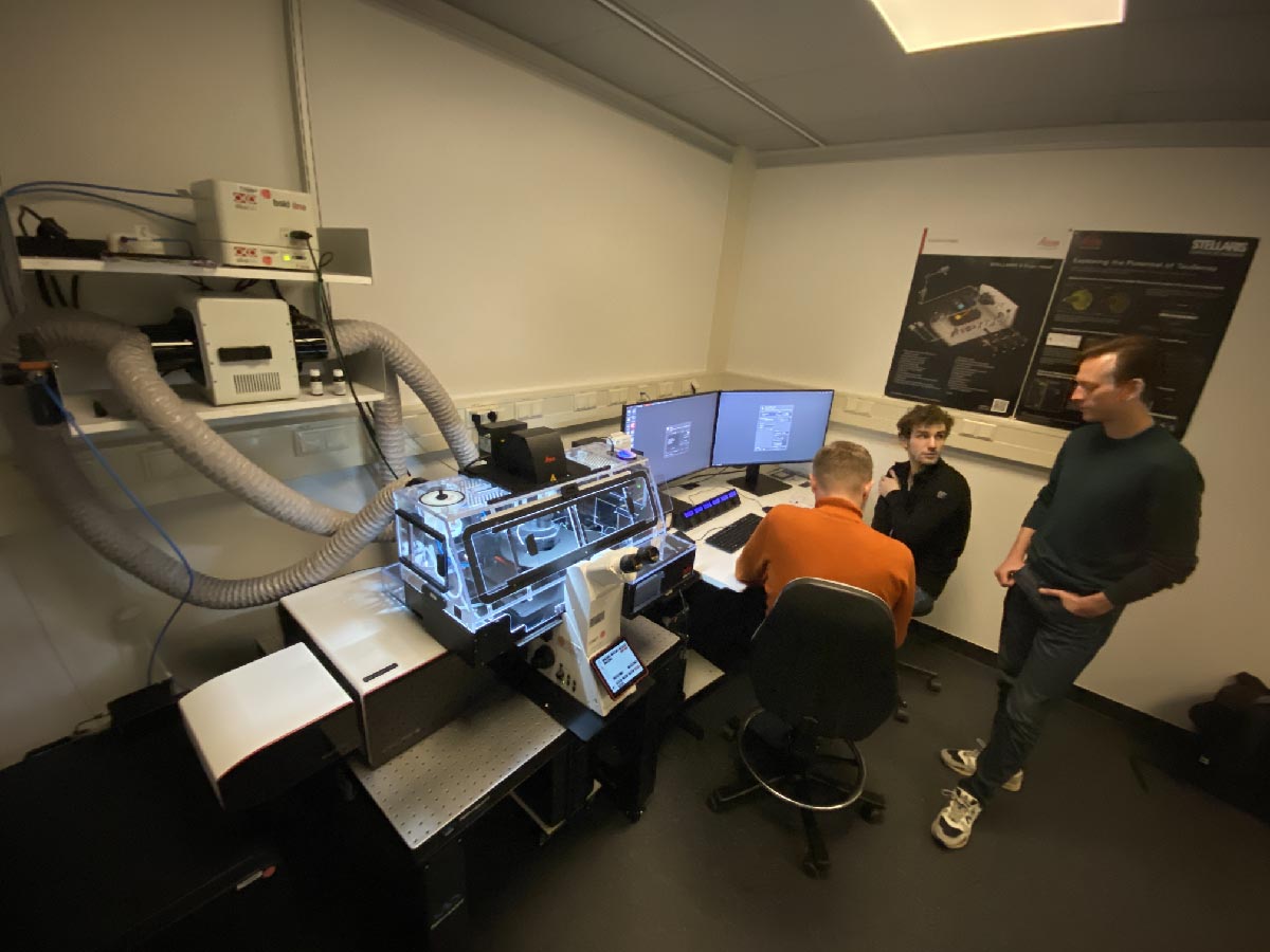 Testing Leica Stellaris 8 STED - Cell Biology, Neurobiology and ...